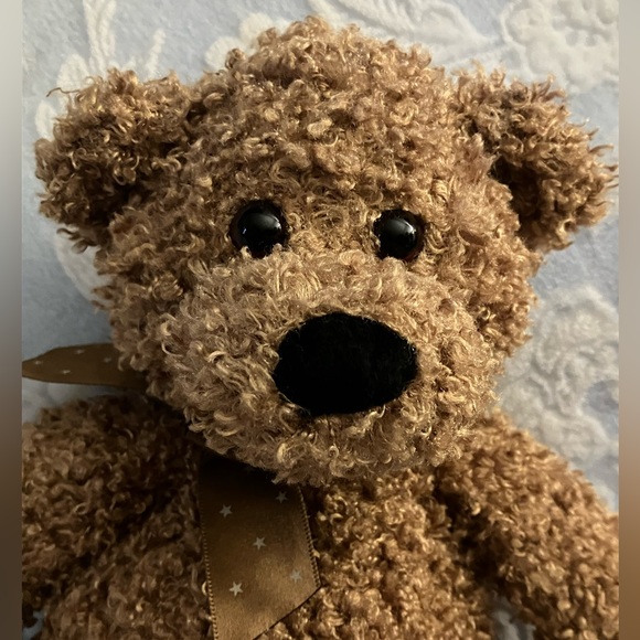 Gund | Other | Gund Brown Bear Curly Bean Bag Plush With Star Ribbon ...